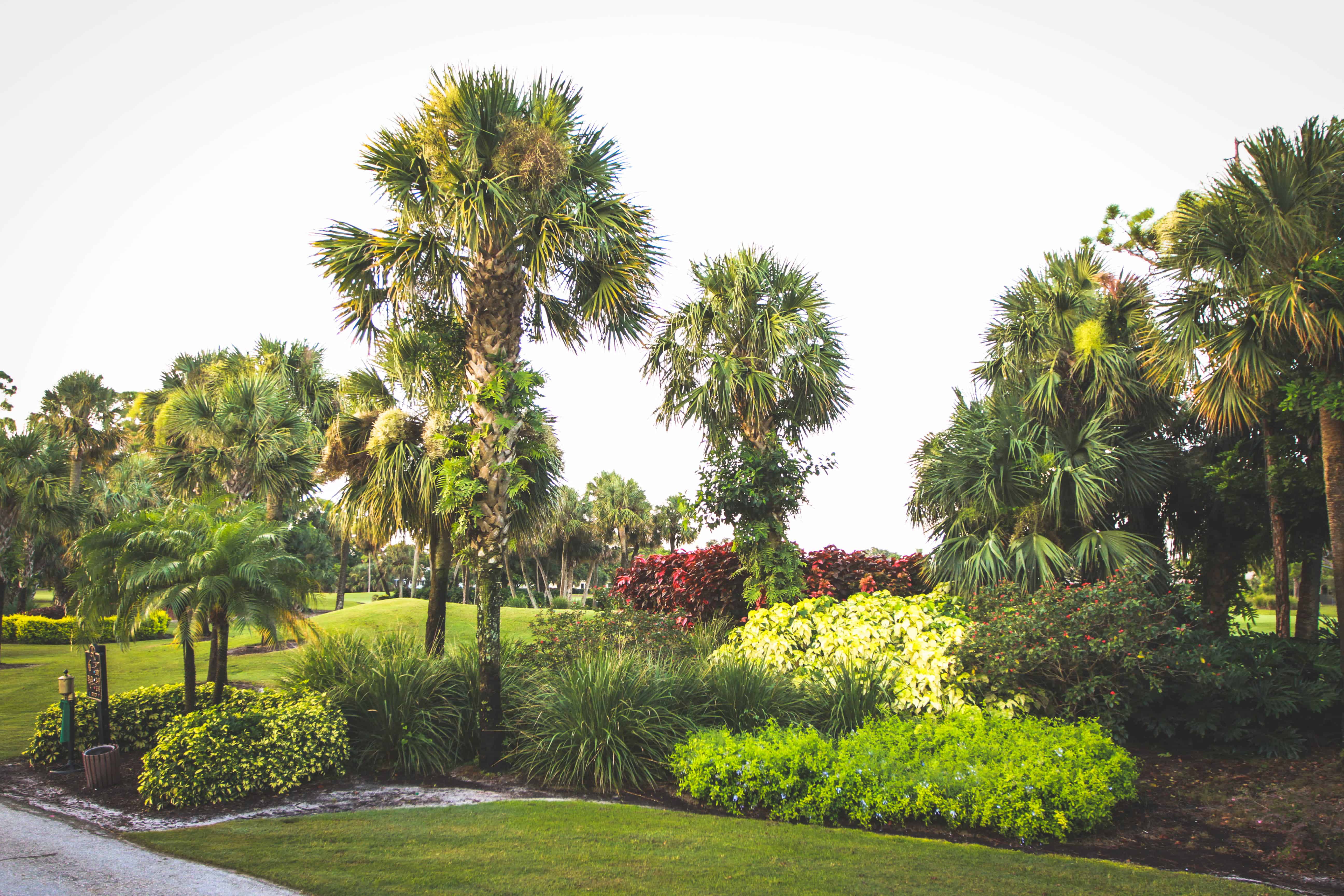 Gallery - Atlantis Country Club